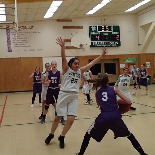 Shaffer Elementary School - Athletics